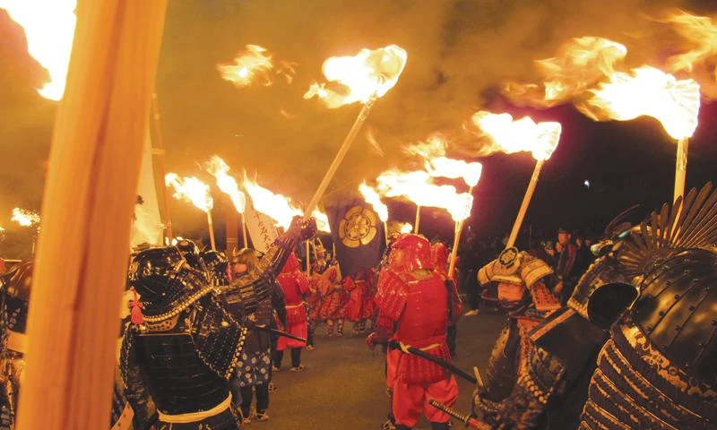 Torch | Wikininja | Fandom