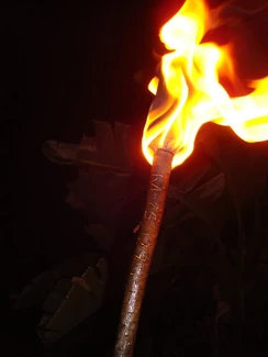 Torch | Wikininja | Fandom