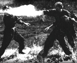 Blinding Powder | Wikininja | Fandom