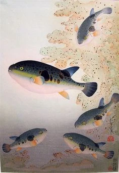 Poison | Wikininja | Fandom