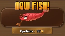 Opabinia | Ninja Fishing Wiki | Fandom