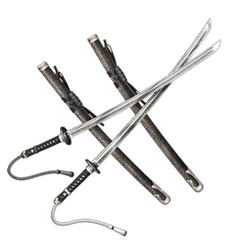 Dragon's Claw and Tiger's Fang (Ninja Gaiden II) | Ninja Gaiden Wiki ...