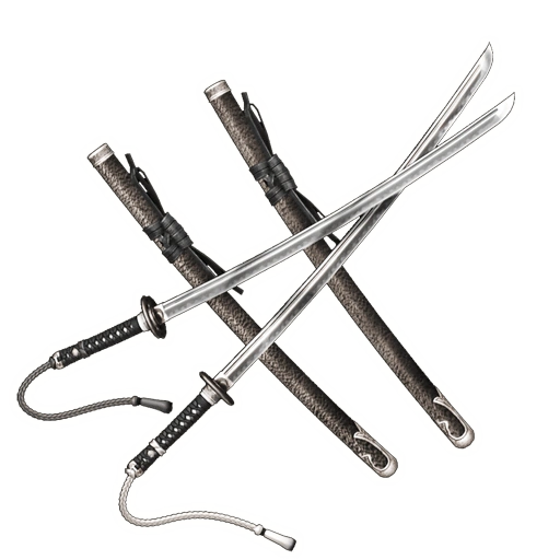 Dragon's Claw and Tiger's Fang (Ninja Gaiden II) | Ninja Gaiden Wiki ...