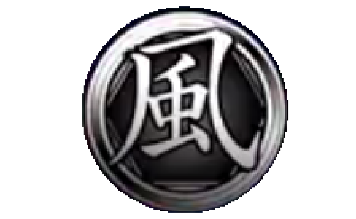 Kamikaze Ninja Clan | Ninja Gaiden Wiki | Fandom