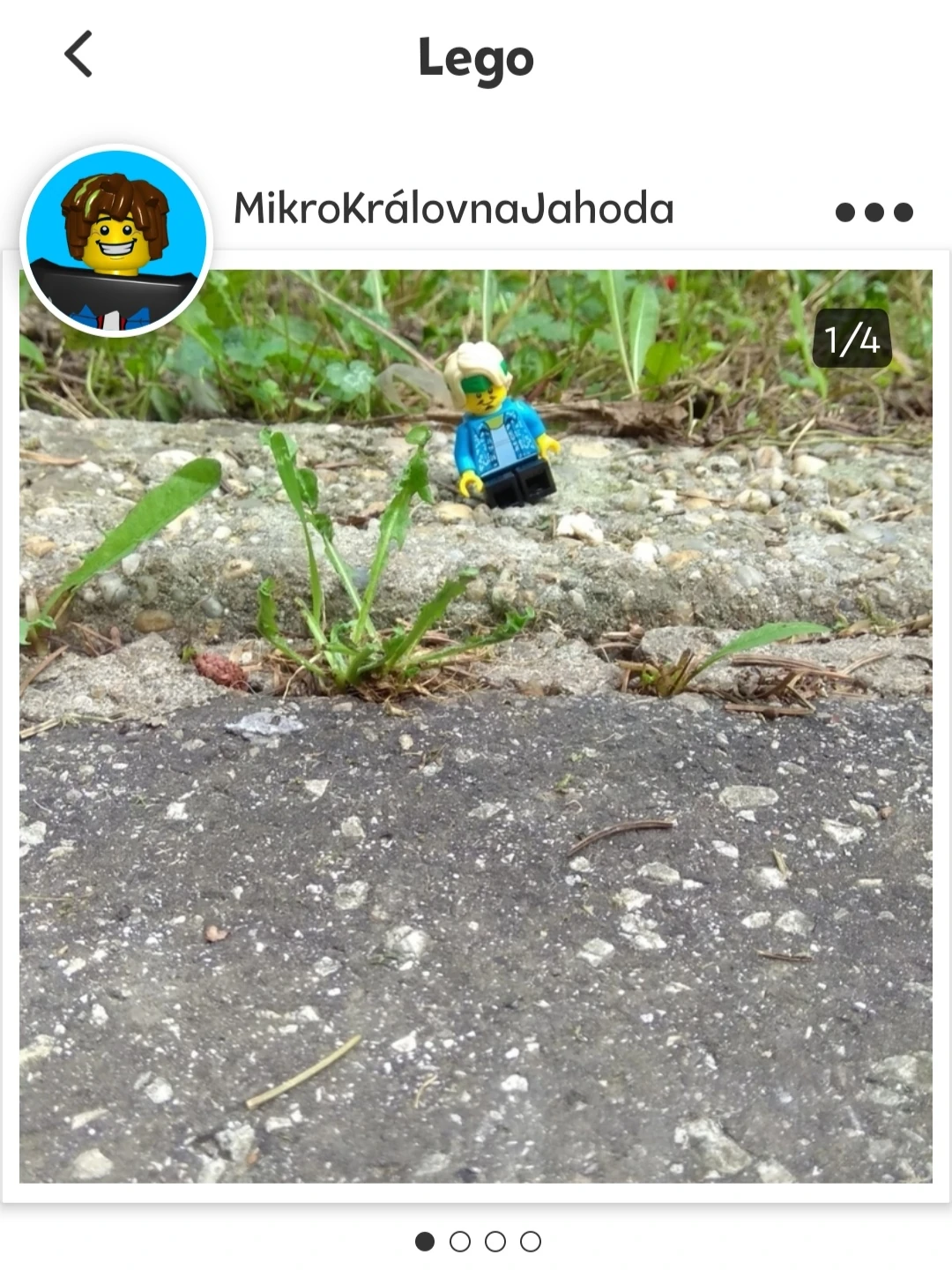At Uncle Robin´s | Ninjago Fanon Wiki | Fandom