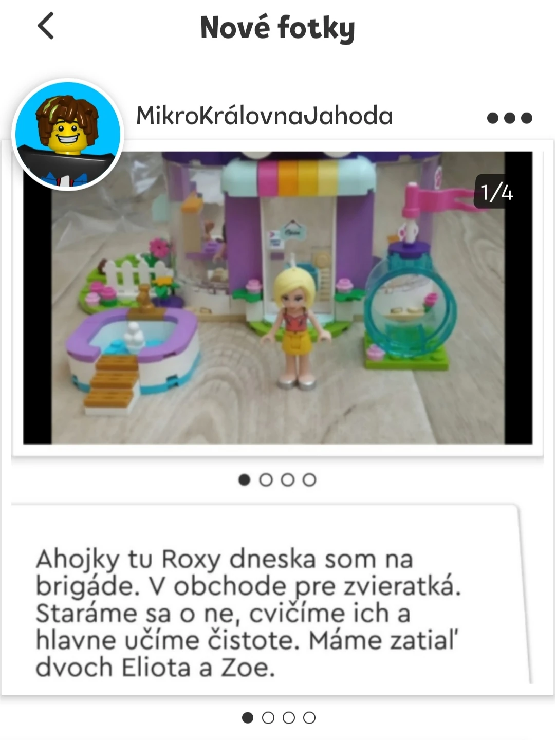 Dog Center Tales | Ninjago Fanon Wiki | Fandom