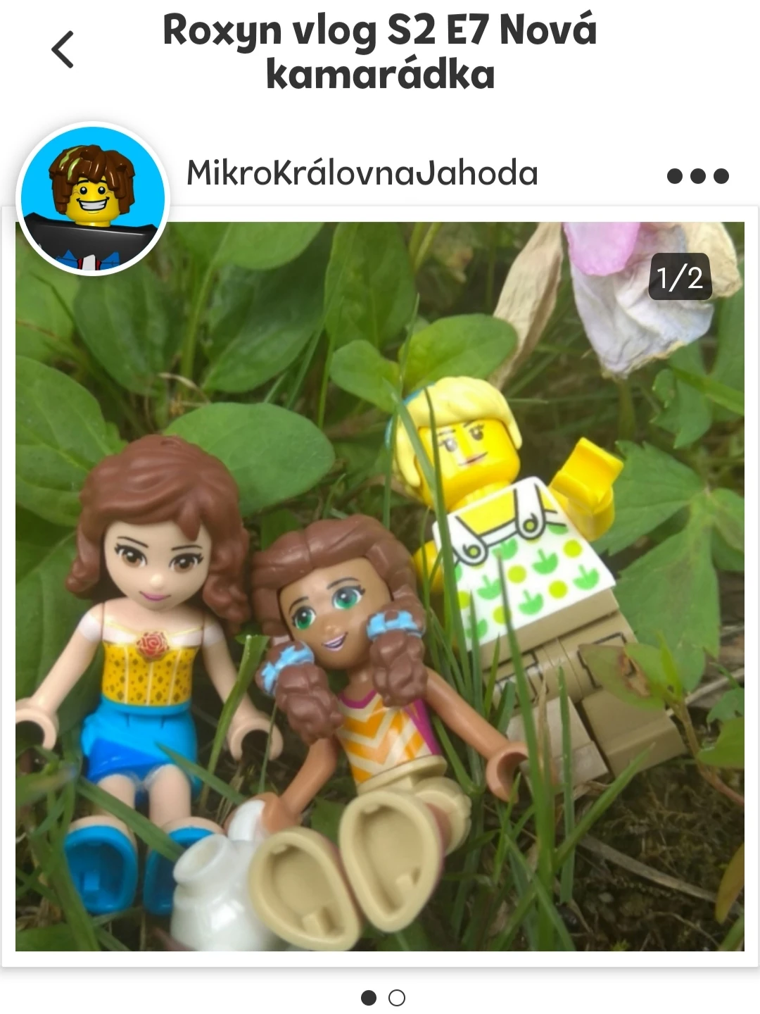 New Friend | Ninjago Fanon Wiki | Fandom