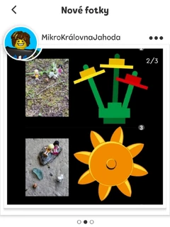 Dog Center Tales | Ninjago Fanon Wiki | Fandom