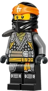 Types of Gi | Ninjago: The New Story Wiki | Fandom