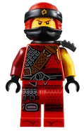Types of Gi | Ninjago: The New Story Wiki | Fandom