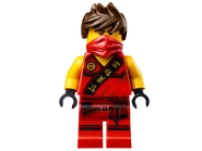Types of Gi | Ninjago: The New Story Wiki | Fandom