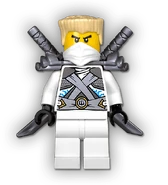 Types of Gi | Ninjago: The New Story Wiki | Fandom