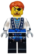 Types of Gi | Ninjago: The New Story Wiki | Fandom