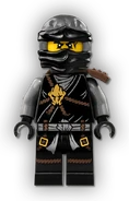 Types of Gi | Ninjago: The New Story Wiki | Fandom