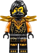 Types of Gi | Ninjago: The New Story Wiki | Fandom