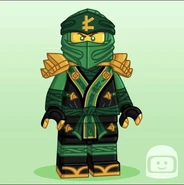 Types of Gi | Ninjago: The New Story Wiki | Fandom