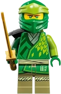Types of Gi | Ninjago: The New Story Wiki | Fandom