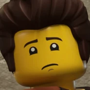 Ninjas | Wiki Ninjago | Fandom