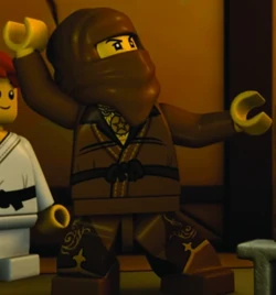 Lego Ninjago Brown Ninja