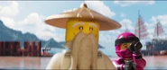 Fuchsia Ninja (The LEGO Ninjago Movie) | Ninjago Wiki | Fandom