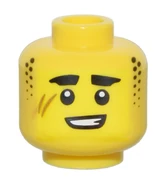 Arin/Gallery | Ninjago Wiki | Fandom