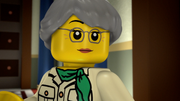 Misako/History | Ninjago Wiki | Fandom