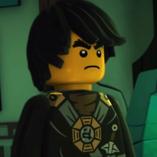 Cole | LEGO Ninjago Wiki | Fandom