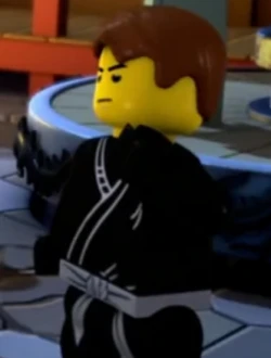 Hub:Jay Walker | Wiki Ninjago | Fandom