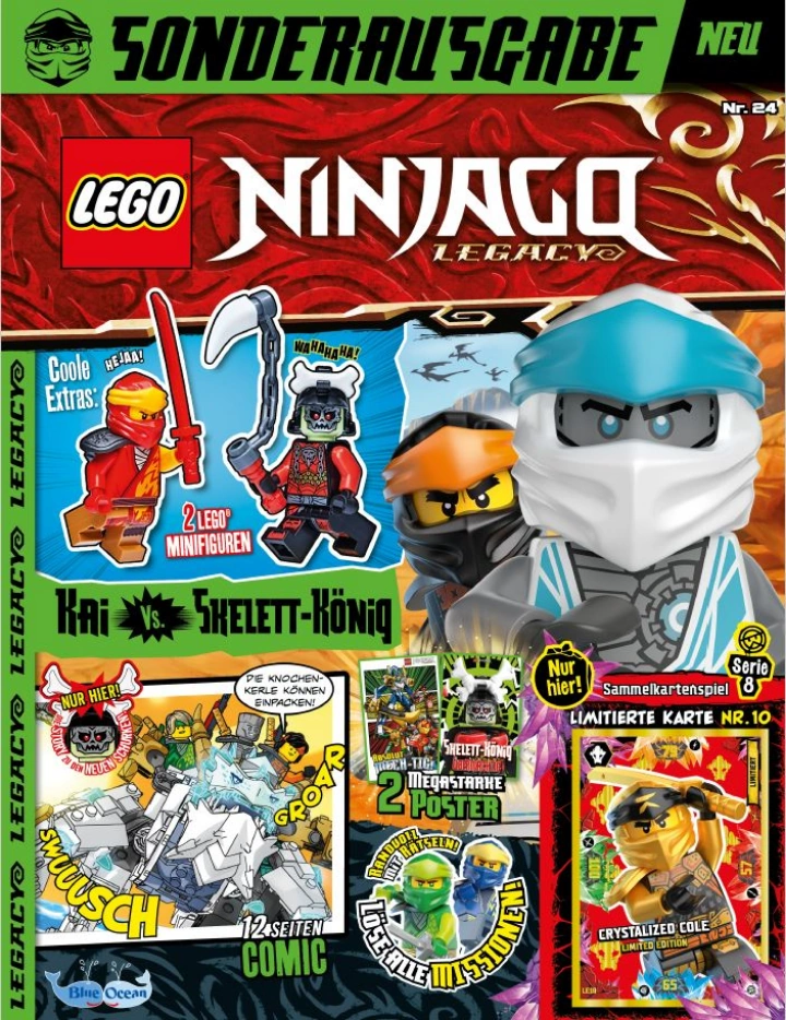 Fallen Ninja! | Ninjago Wiki | Fandom
