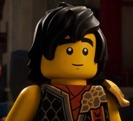 Cole | Ninjago Wiki | Fandom