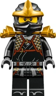71866 Ninja Character Display | Ninjago Wiki | Fandom