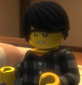 Cole | LEGO Ninjago Wiki | Fandom