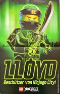 Rebel Ninja | Ninjago Wiki | Fandom