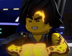Cole De Ninjago
