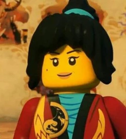 Ninjago Nya Ninja