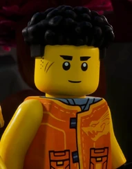 Arin Nived | LEGO Ninjago Wiki | Fandom