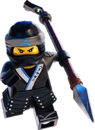 Secret Ninja Force | Ninjago Wiki | Fandom