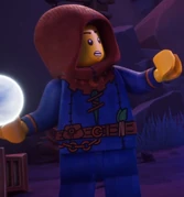Wizards | Ninjago Wiki | Fandom