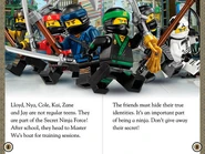 Secret Ninja Force | Ninjago Wiki | Fandom