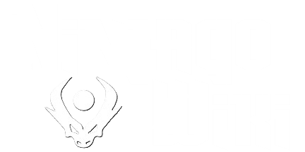 Lee | Ninjago Wiki | Fandom