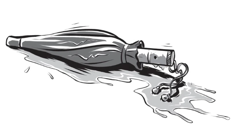 Nineko's umbrella | Ninjago Wiki | Fandom