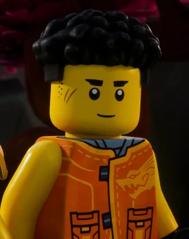 Arin | Ninjago Wiki | Fandom