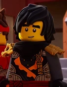 Ninjas | Wiki Ninjago | Fandom