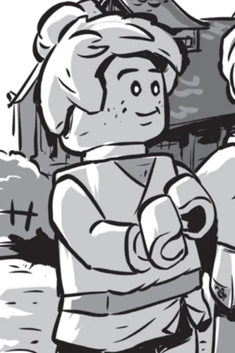 Shin | Ninjago Wiki | Fandom