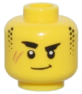 Arin/Gallery | Ninjago Wiki | Fandom