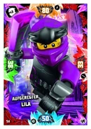 Fuchsia Ninja | Ninjago Wiki | Fandom