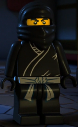 Ninja | NinjagoCharacters Wiki | Fandom