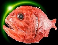 Eclipse Fish | That One Ninja Guy That Kills Zombies Wiki | Fandom