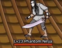 Phantom Ninja (enemy) | Ninja Saga Wiki | Fandom