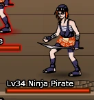 Ninja Pirate | Ninja Saga Wiki | Fandom